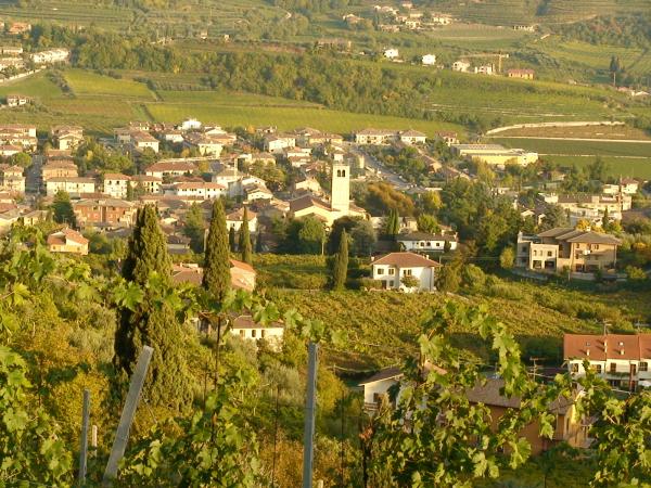 Colline Veronesi - Map Tracks